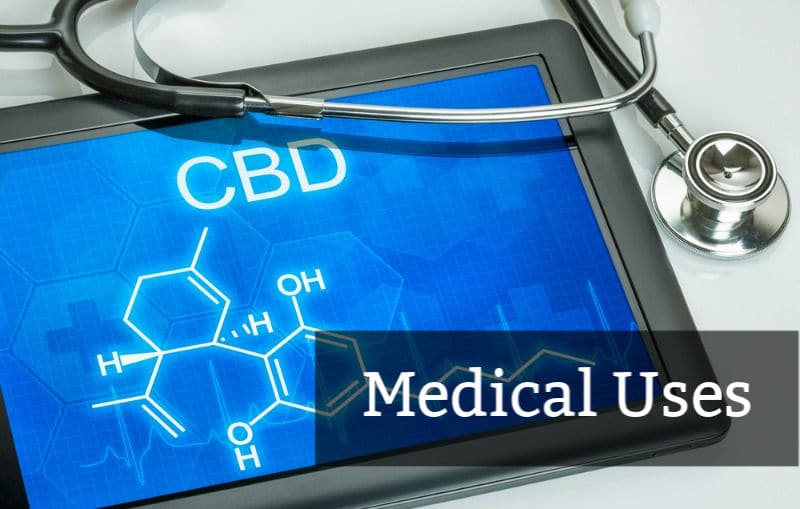 The No BS Guide to Cannabidiol (CBD) ─ Information, Uses, Side Effects ...