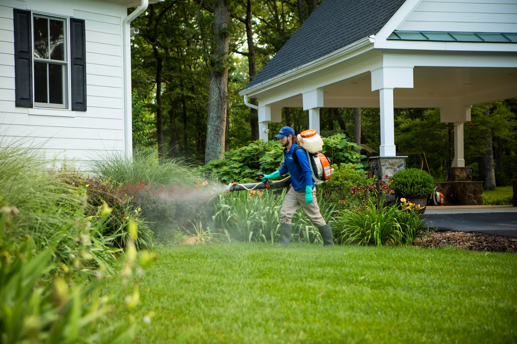 What Is The Most Effective Mosquito Control For Your Patio or Garden?