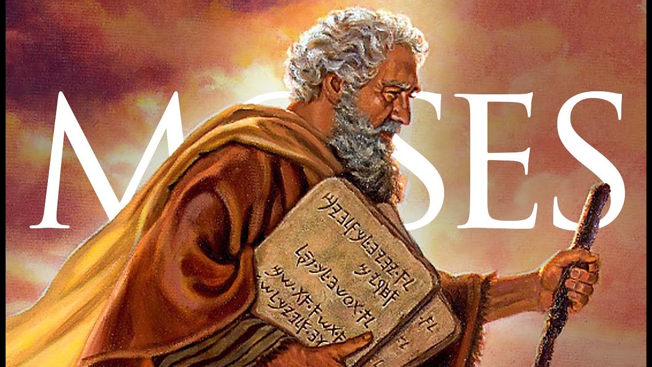 How Many Sheep Did Moses Have On The Ark Count! - Mind-Boggling Riddle