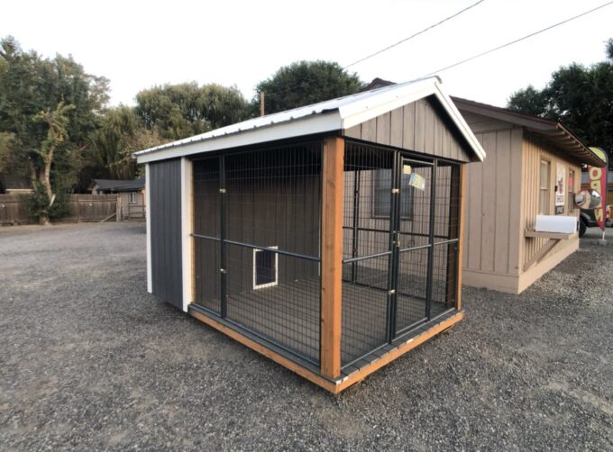Dog Kennel Essentials ─ Must-Have Features For A Functional And ...