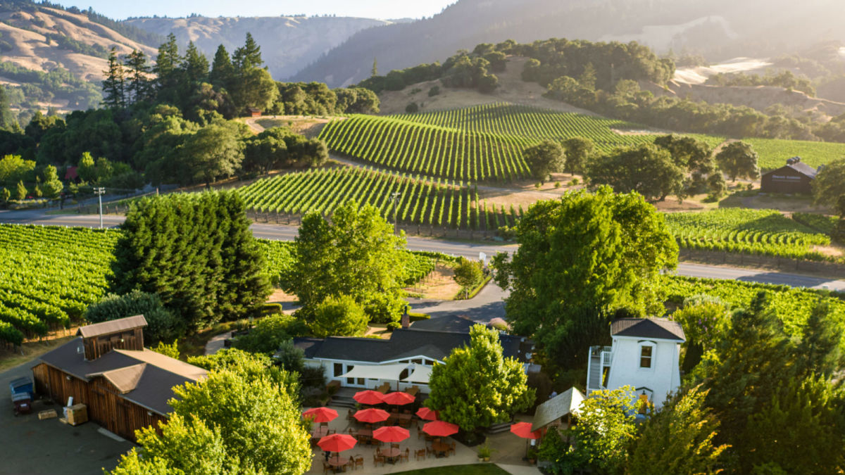 5 Scenic Wineries ─ A Journey Through Wine