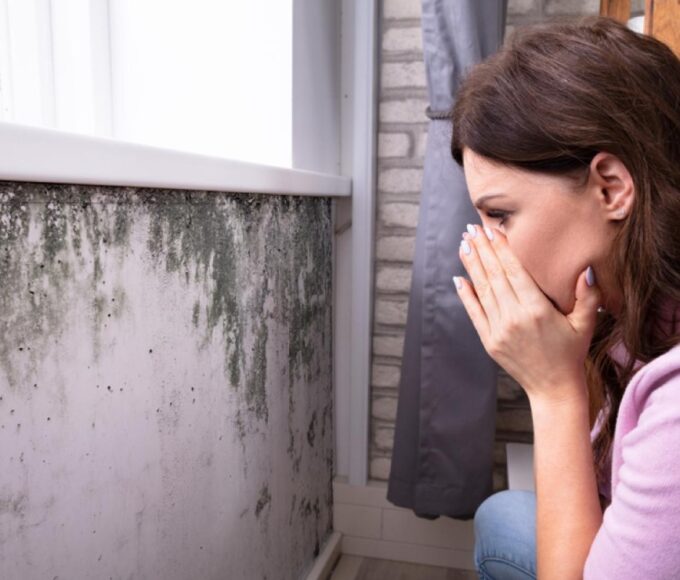 What Are the Chances of Mold Growing in Your Home?